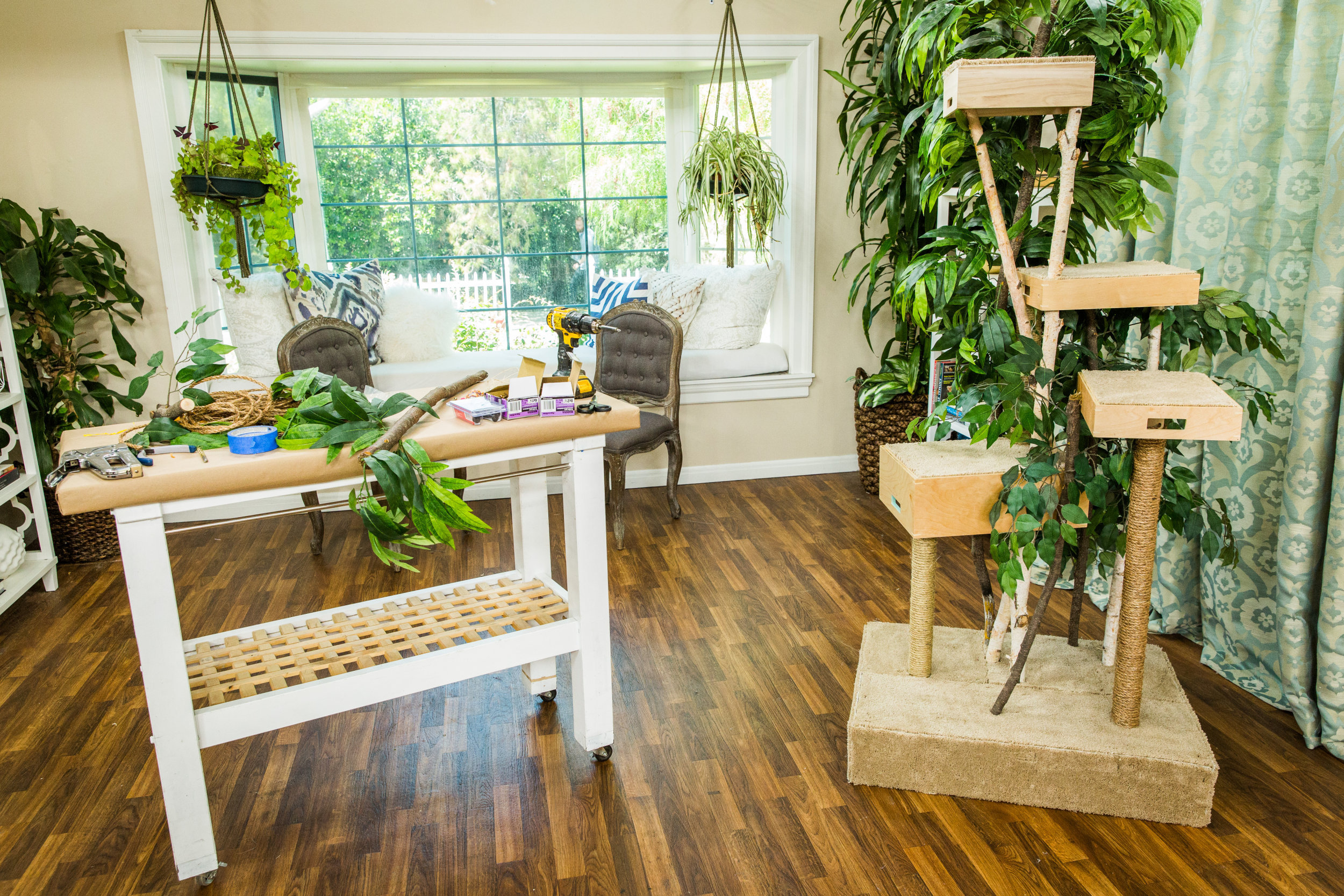 How To Home Family DIY Cat Tree House Hallmark Channel