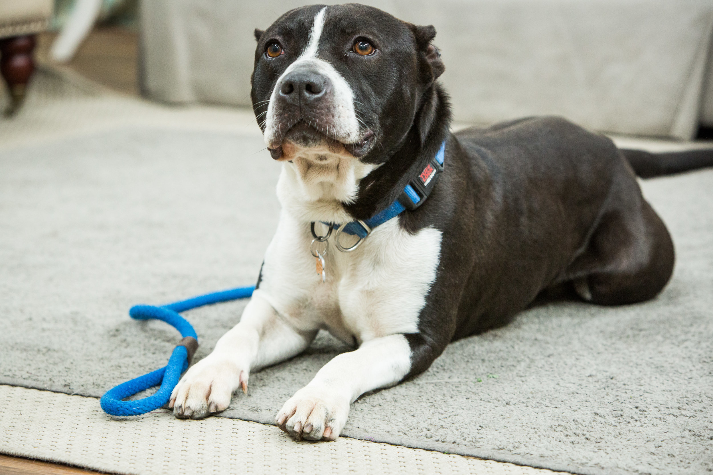 Photos from Episode 4109 | Home & Family | Hallmark Channel