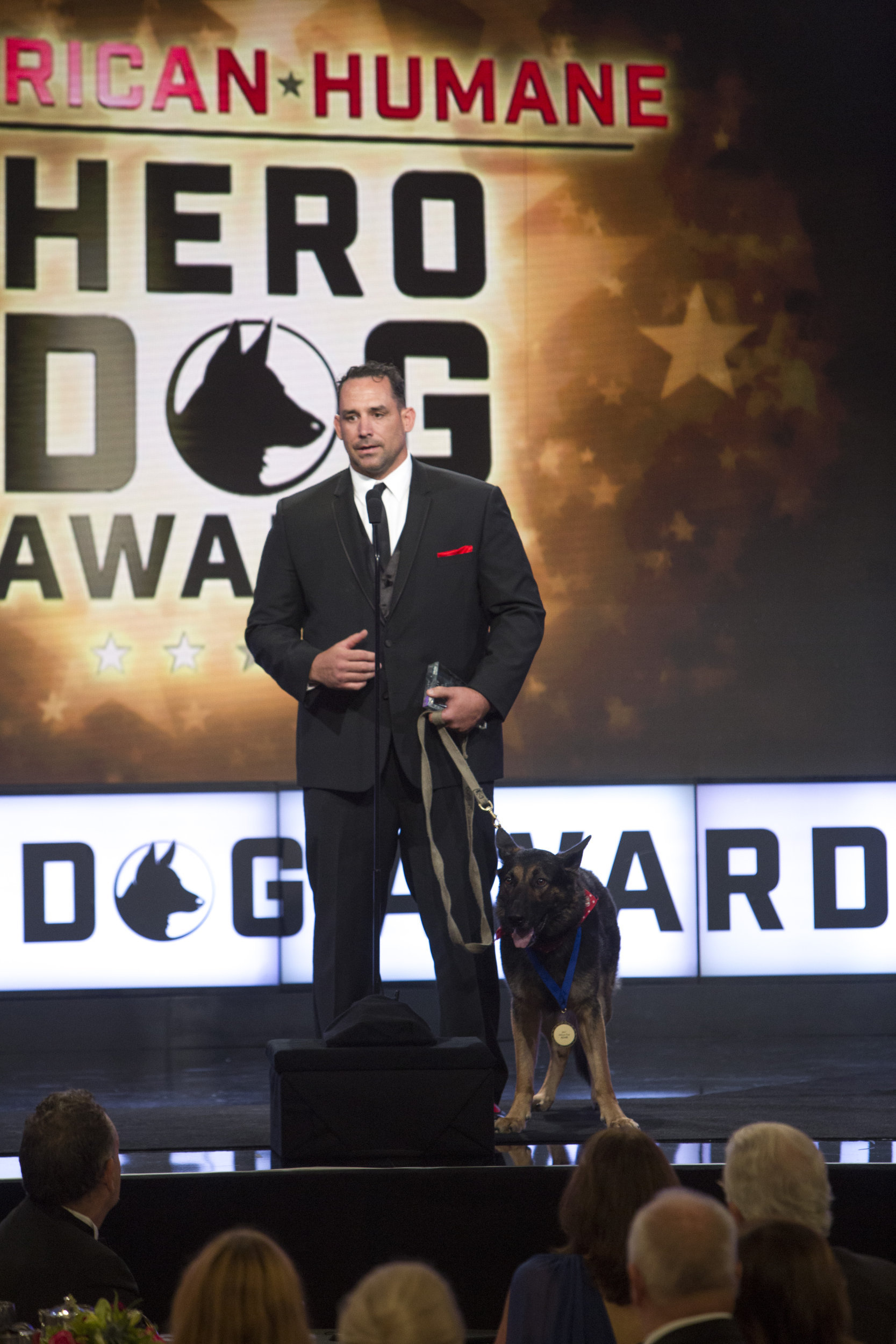 2017 American Humane Hero Dog Awards - Photo Gallery | 2017 American ...